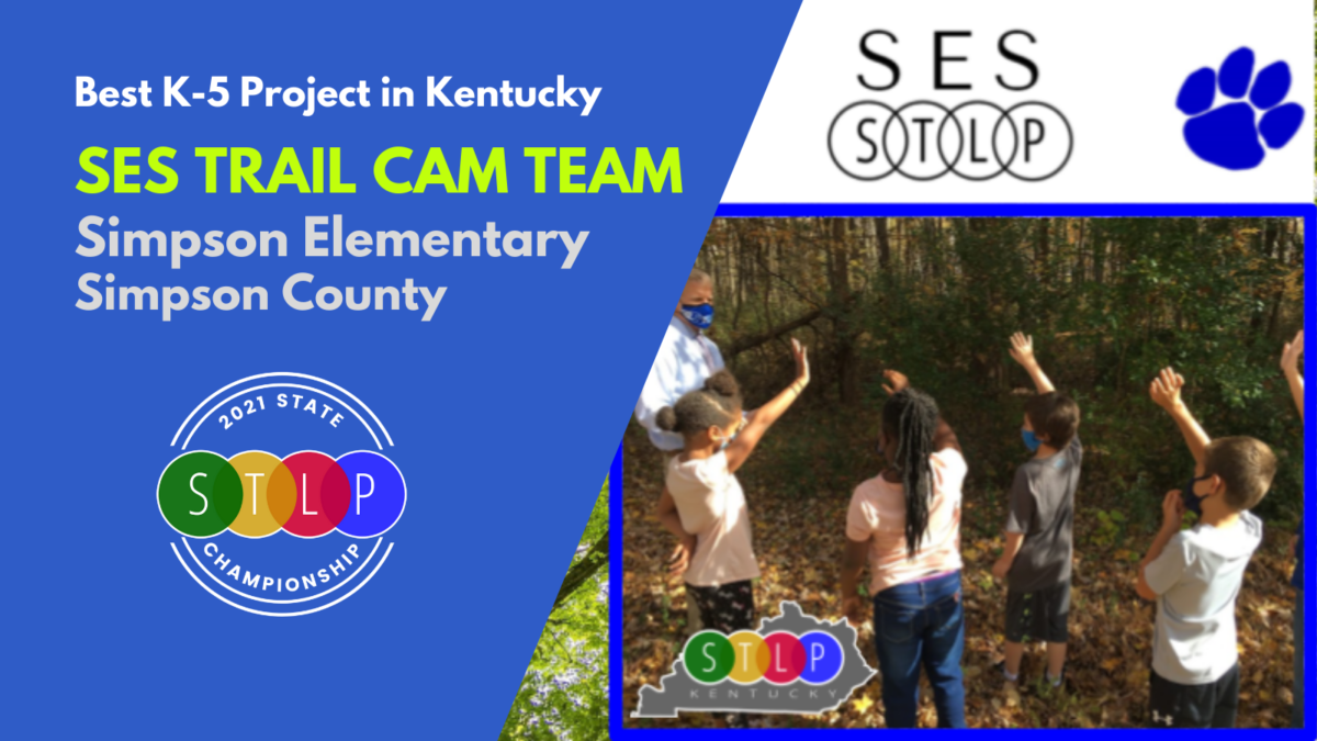 STLP21 Champion Review – STLP